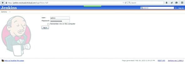 An Overview of OpenShift