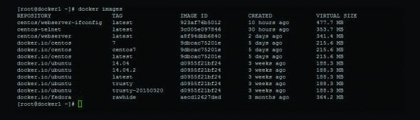 CentOS7: Running a Web Server Inside a Docker Container
