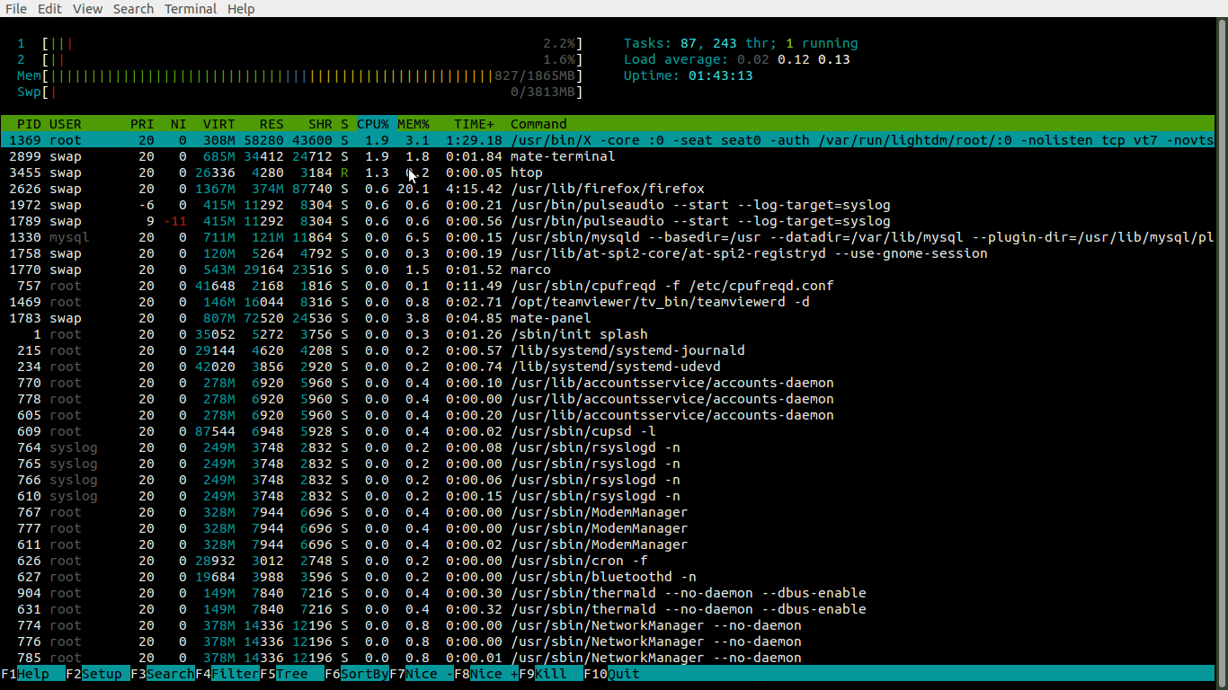 Htop: System Monitoring for Linux