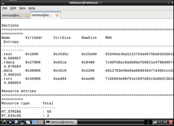 Malware Analysis Using REMnux