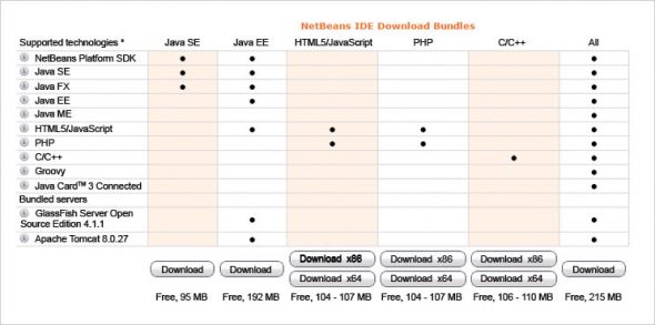 Developing web applications using NetBeans