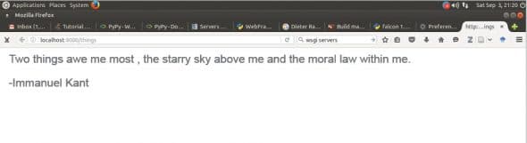 Falcon: A High Performance, Lightweight Web Framework