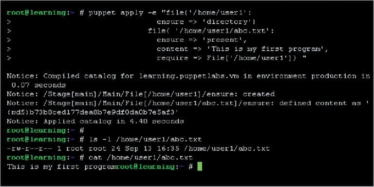Puppet: The Popular Choice for IT Automation - open source for you