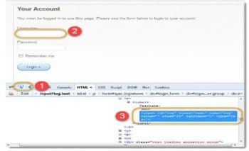 How to use Firebug with Selenium testing - Open Source For You