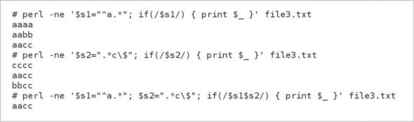 Regular expressions in programming languages: Perls of Wisdom