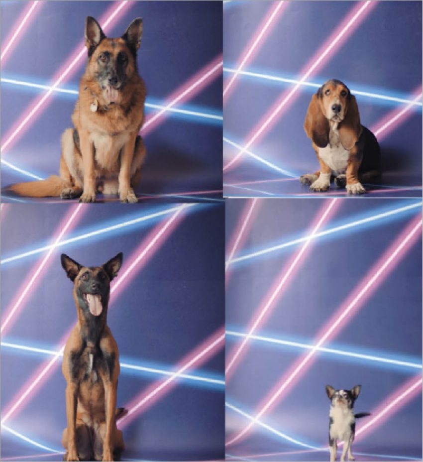 What’s the Difference between Deep Learning, Machine Learning and AI?