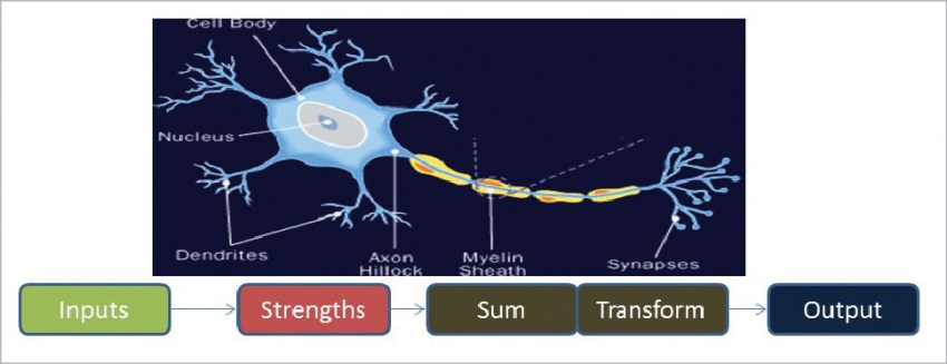 Deep Learning: Using Algorithms to Make Machines Think
