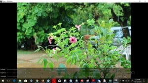 Five Popular Open Source Photo Viewers for Windows
