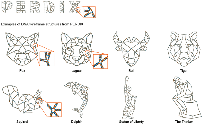 Software That Lets Anyone Create 2D Nanostructures Using DNA Strands