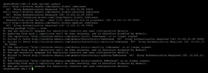 Setting up a Proxy for Docker Containers in Linux Machines