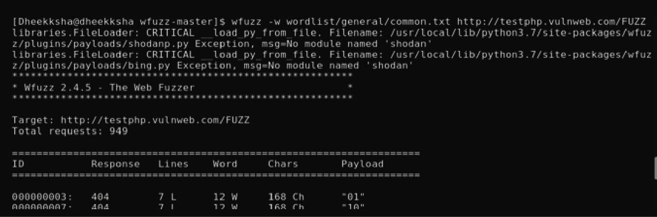 Wfuzz: Protect Your Web Application by Finding the Faults In It