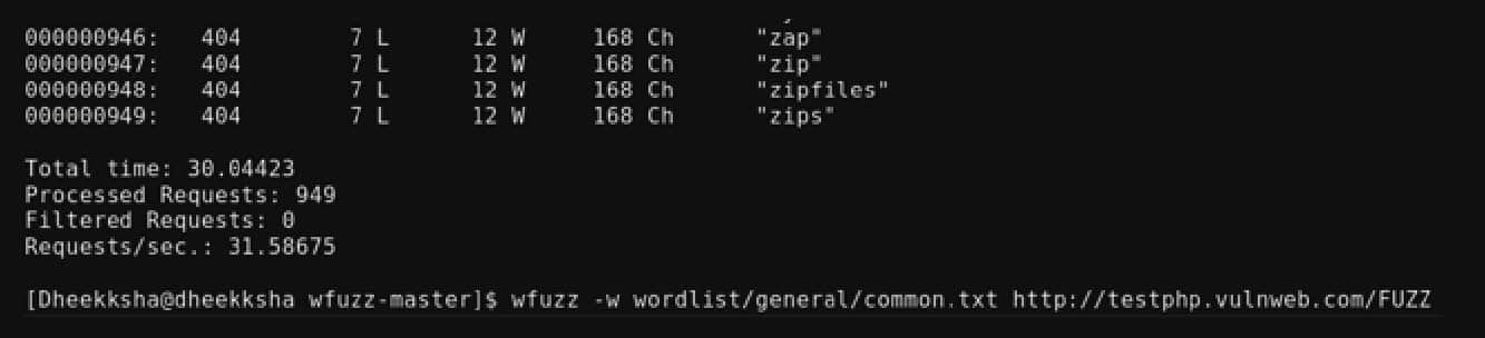 Wfuzz: Protect Your Web Application by Finding the Faults In It