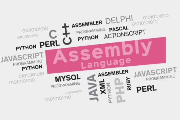 Assembly Language Programming in Linux: An Overview