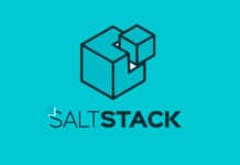All You Need to Know About SaltStack