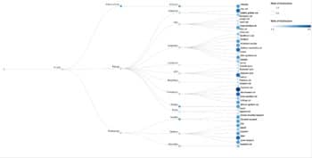 RAWGraphs: The No-Code Data Visualisation Tool