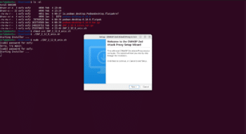 Dynamic Application Security Testing Using OWASP ZAP