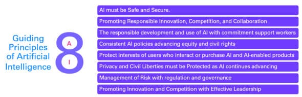 Responsible AI: A Call by the US Government