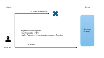 A Guide to SSL 2.0: Security Flaws and Evolution to SSL 3.0 - Open ...